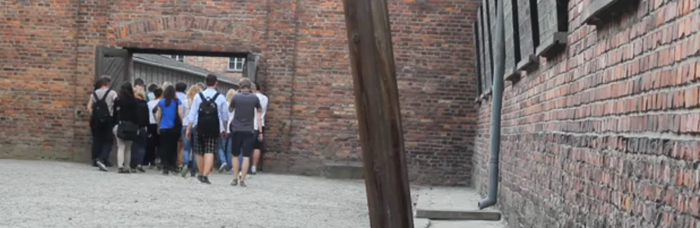 Claudia Bracholdt » Block 11 / Auschwitz